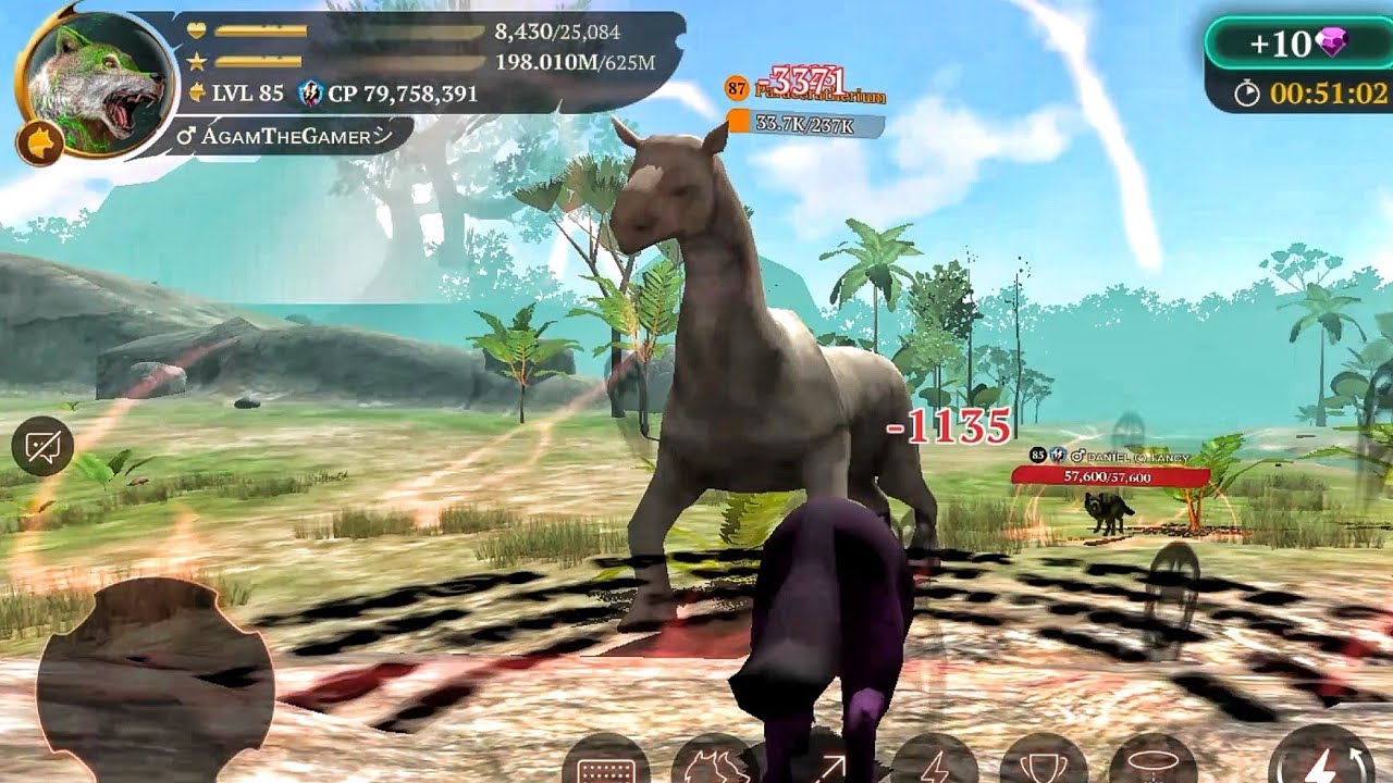 The Wolf- New Map Tropical Forest Gameplay as a 50k! - YouTube