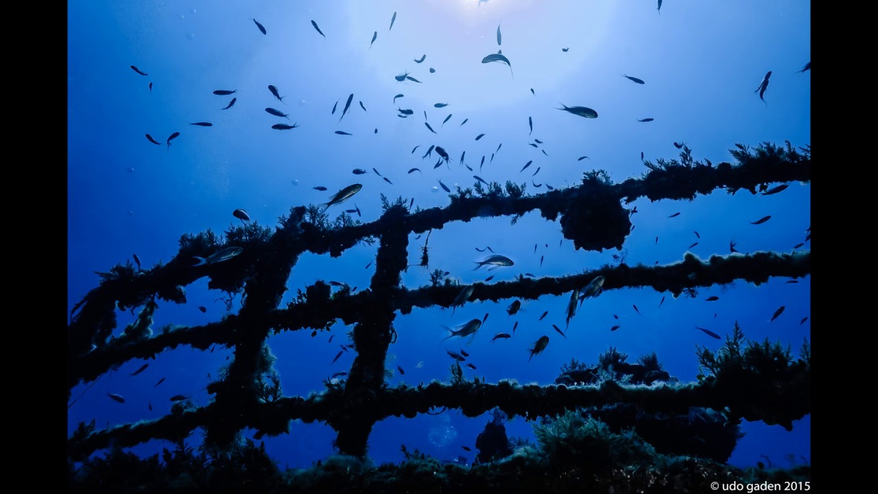 Diving Trip with Achilleon Diving Center - Wreck Diving Othonoi Island ...