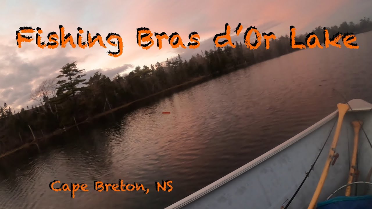 My first fishing trip to Bras d’Or Lake - YouTube