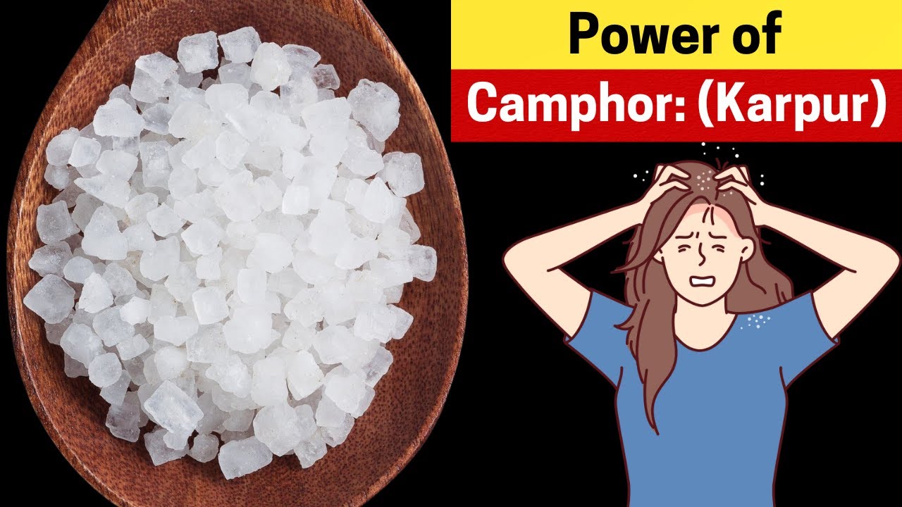11 Most Popular Camphor Uses & Benefits to Heal and Treat Your Body ...
