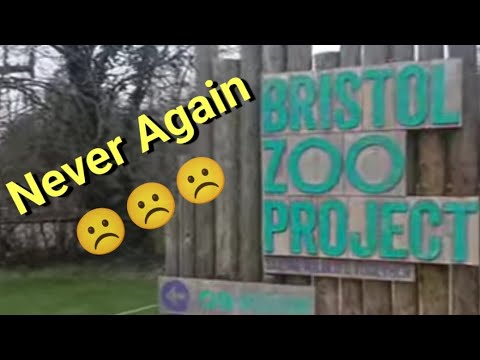 NEVER AGAIN. The Bristol Zoo Project 😳😳😳. - YouTube