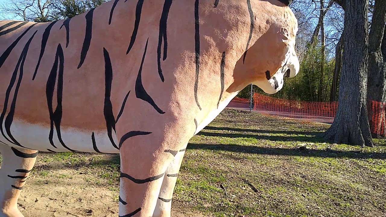 WACO TEXAS PARK ZOO - YouTube
