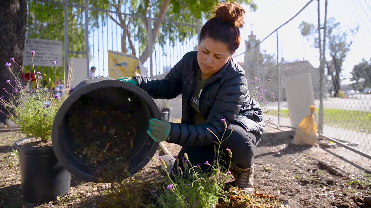 Carthay Center Elementary Grows Green! - YouTube