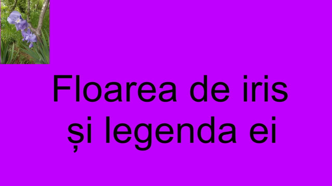 Floarea de iris - legenda - YouTube