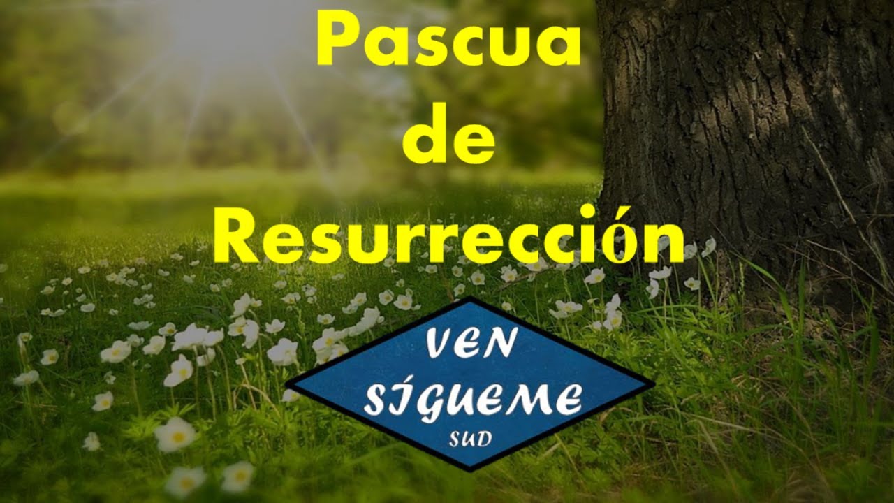 Ven Sígueme Sud La Pascua De Resurrección Voice Lushy - YouTube