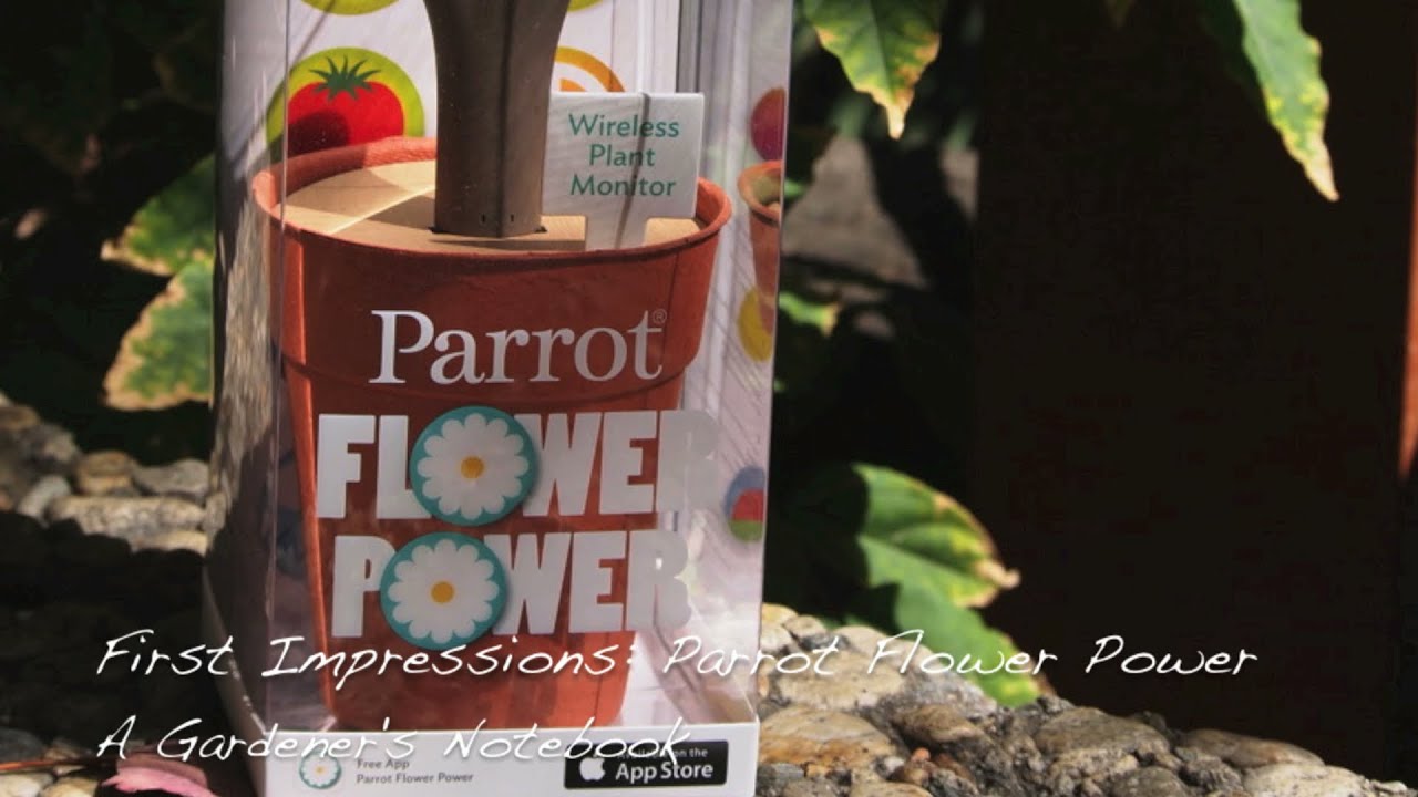 First Impressions: Parrot Flower Power - Wireless Indoor/Outdoor ...