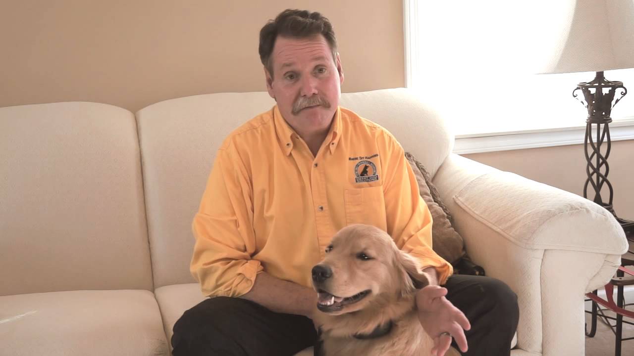 Tom Beitz- Is a dog ever too old for boarding school? - YouTube