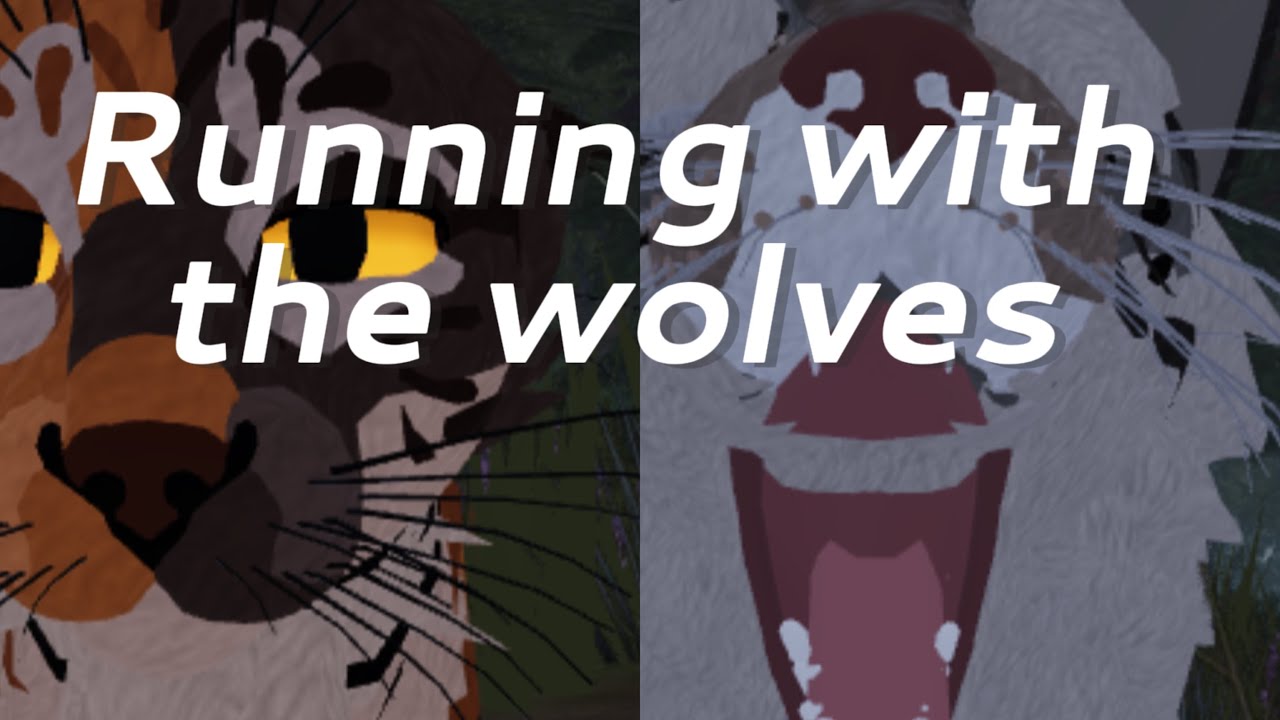Running With The Wolves-A OC PMV - YouTube