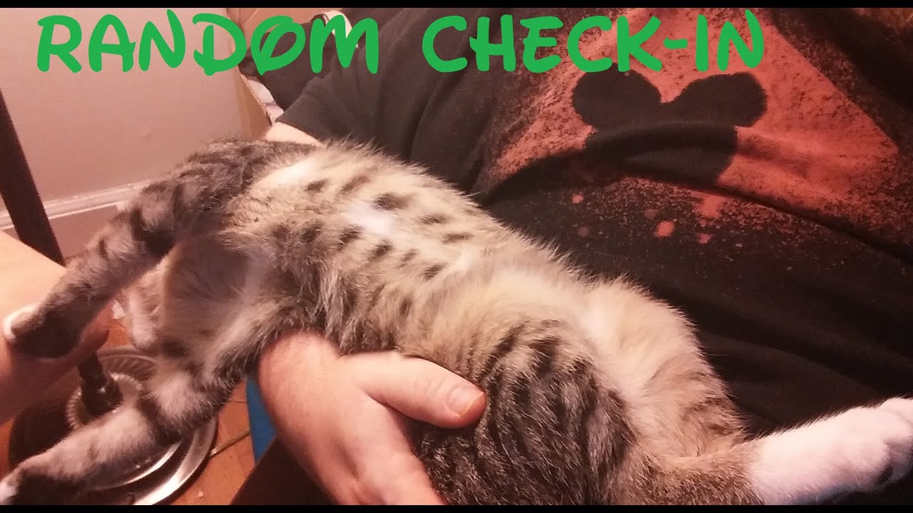 Random Check-In - YouTube