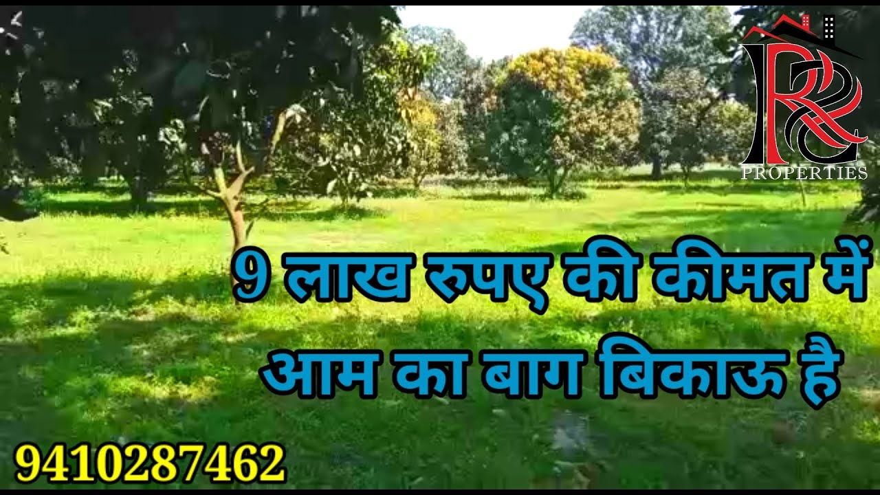 10 bigha ka aam ka baag bikau hai. - YouTube
