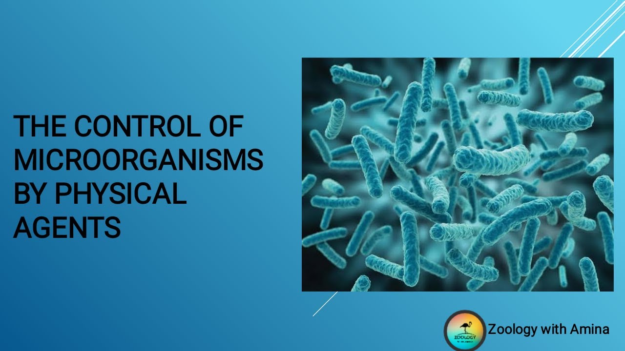 Control of microorganisms by physical agents | Fundamentals of control ...