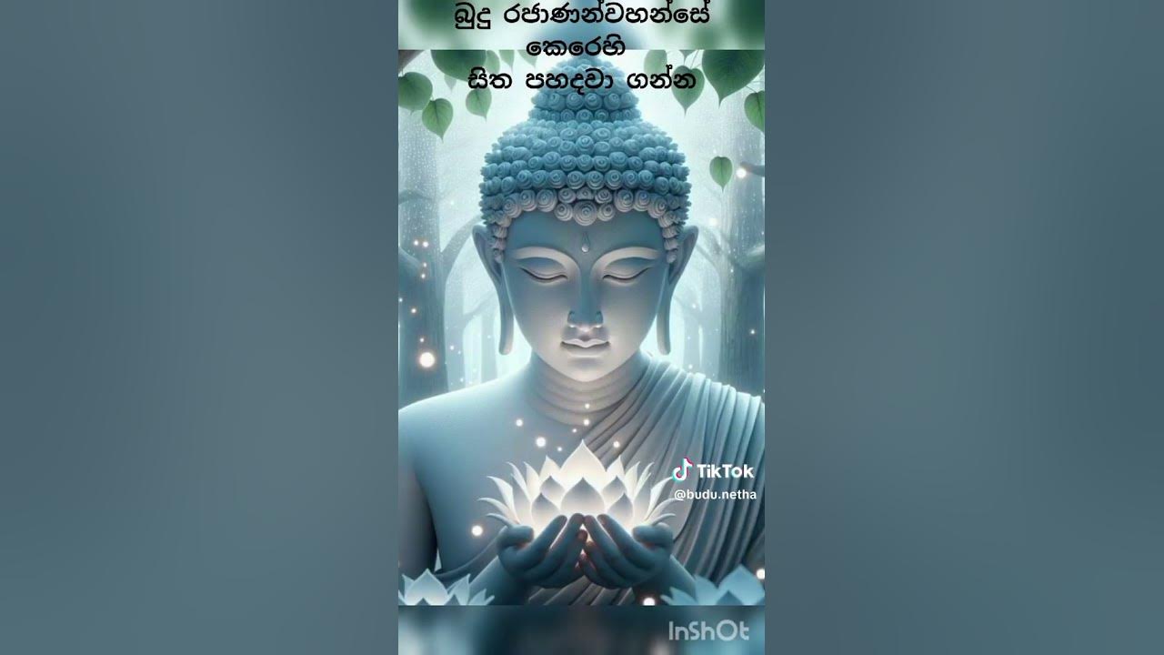 බුදු හිමියන් කෙරෙහි සිත පහදවා ගතහොත් එහි විපාක සසර පුරාම පවතිනු ඇත🙏🙏