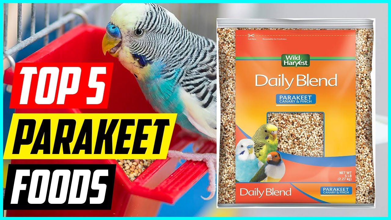 5 Best Parakeet Foods for 2025 - YouTube