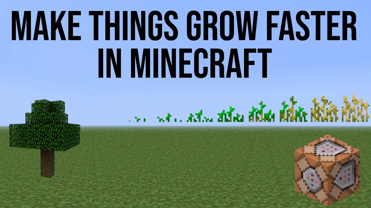 Grow Things Faster In Minecraft Using Commands 1 16 YouTube grow-things-faster-in-minecraft-using-commands-1-16-youtube