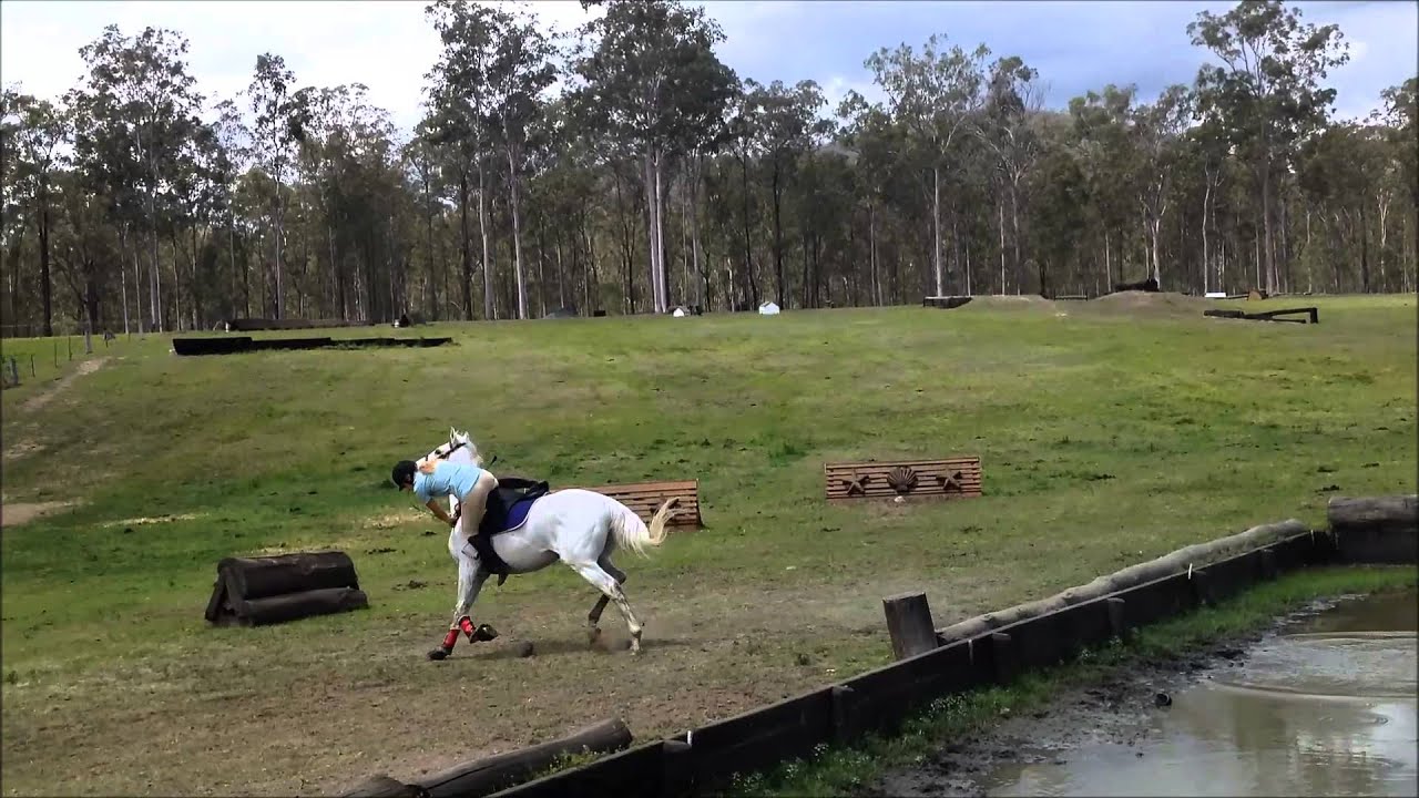 Cross country with the horses (including a fall) - YouTube