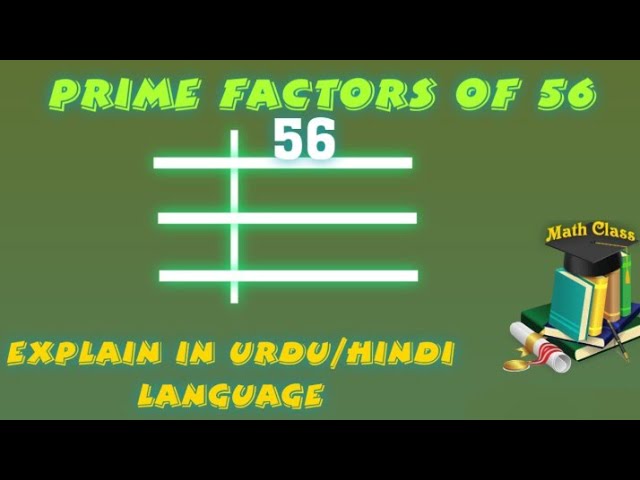 Prime Factorization Of 56