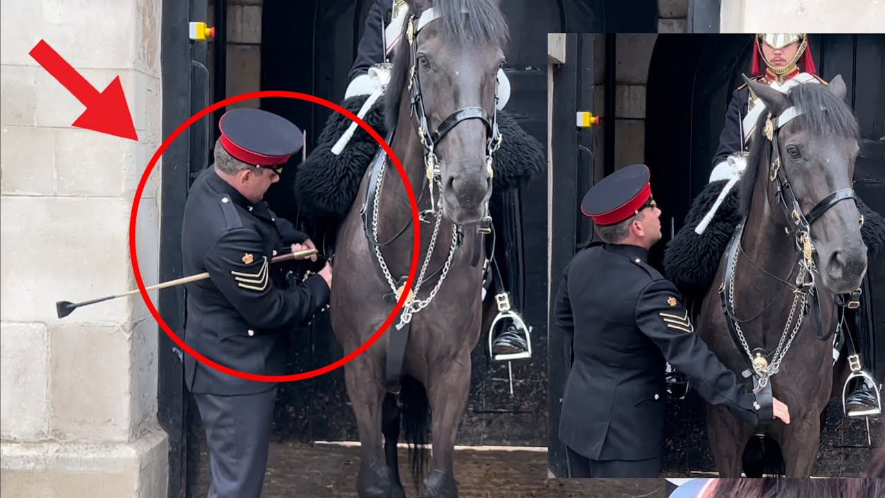 Brilliant Job! Corporal of Horse checks horse Guard and Adjusts the ...
