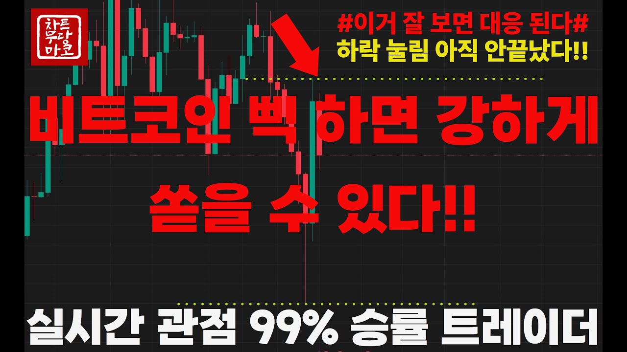 비트코인 여기 자리 조심 하십시요 지지 못 받음 전저점 입니다 2월 4일 오후 시황 마코 리플 이더리움 차트무당