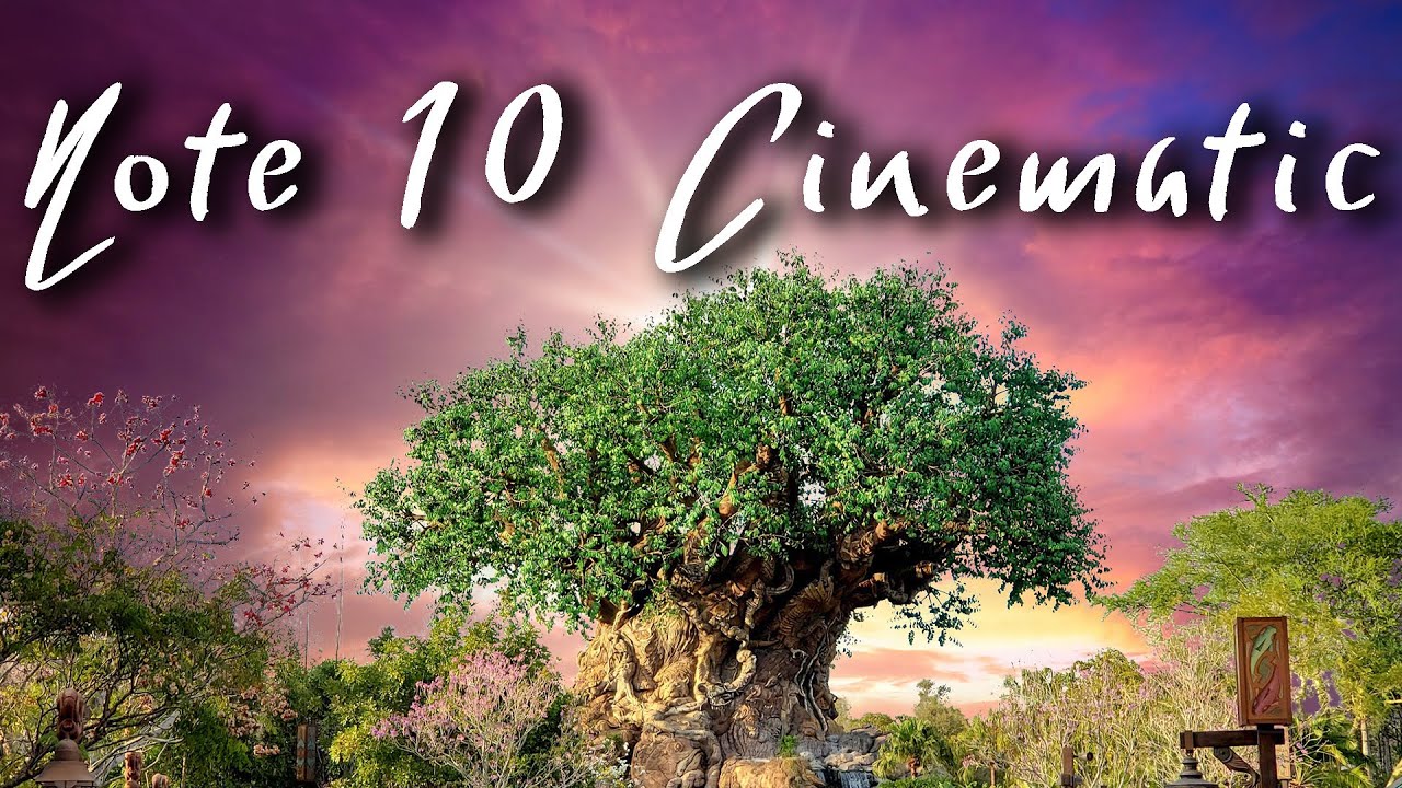 Galaxy Note 10 Plus: Cinematic Camera Test | Animal Kingdom