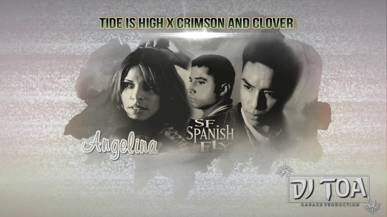 DJ TOA 18' - TIDE IS HIGH X CRIMSON AND CLOVER (RMX) - YouTube