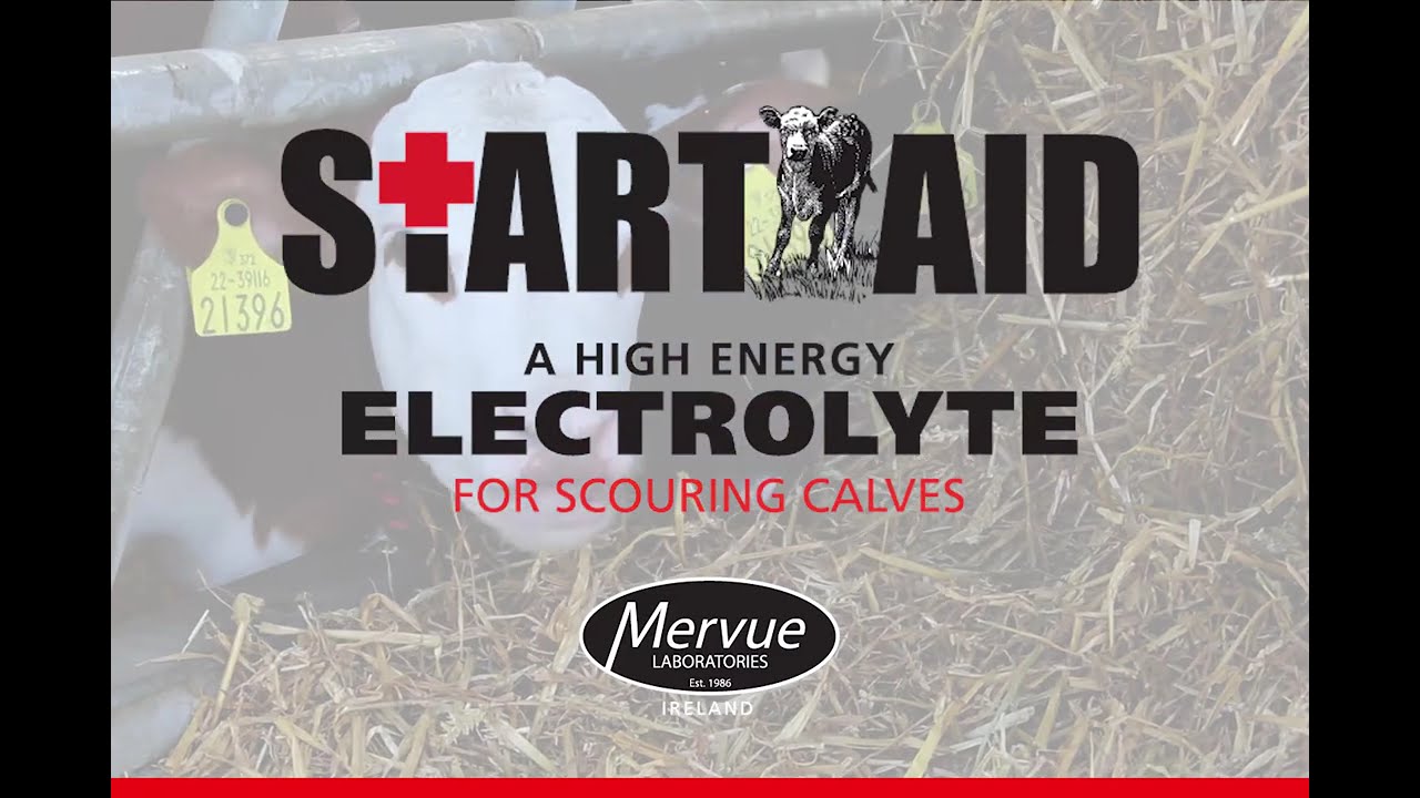 Start Aid Electrolyte - YouTube