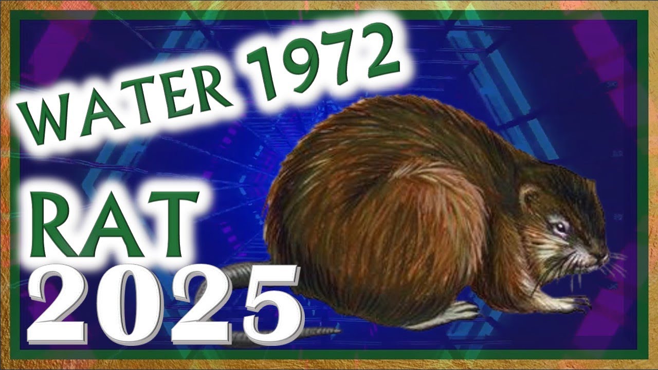 Rat Horoscope 2025 | Water Rat 1972 | February 15, 1972 to February 2 ...