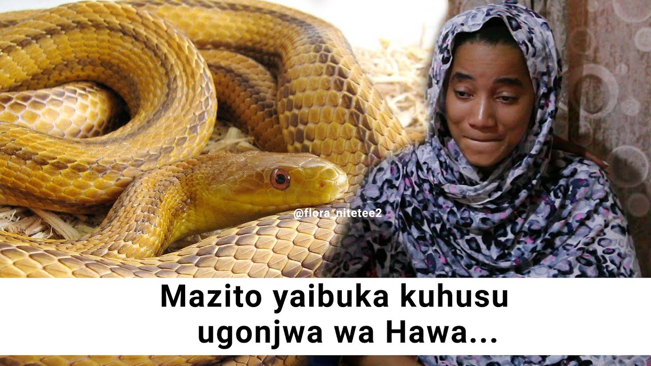 MAZITO YAIBUKA.. UGONJWA WA HAWA - YouTube