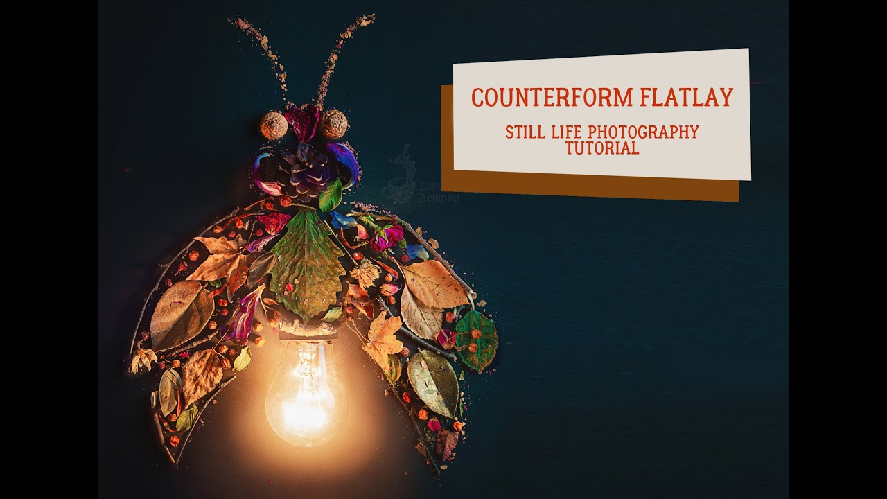 Counterform flatlay: still life photography tutorial - YouTube