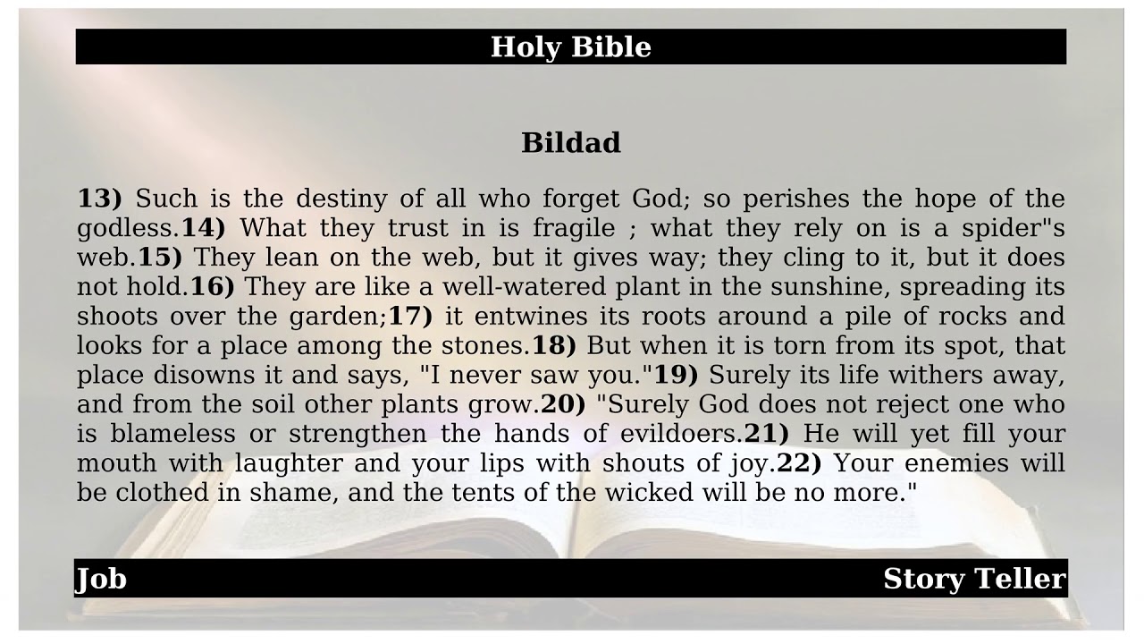 Job - Chapter 8 - Bildad | The Holy Bible - YouTube