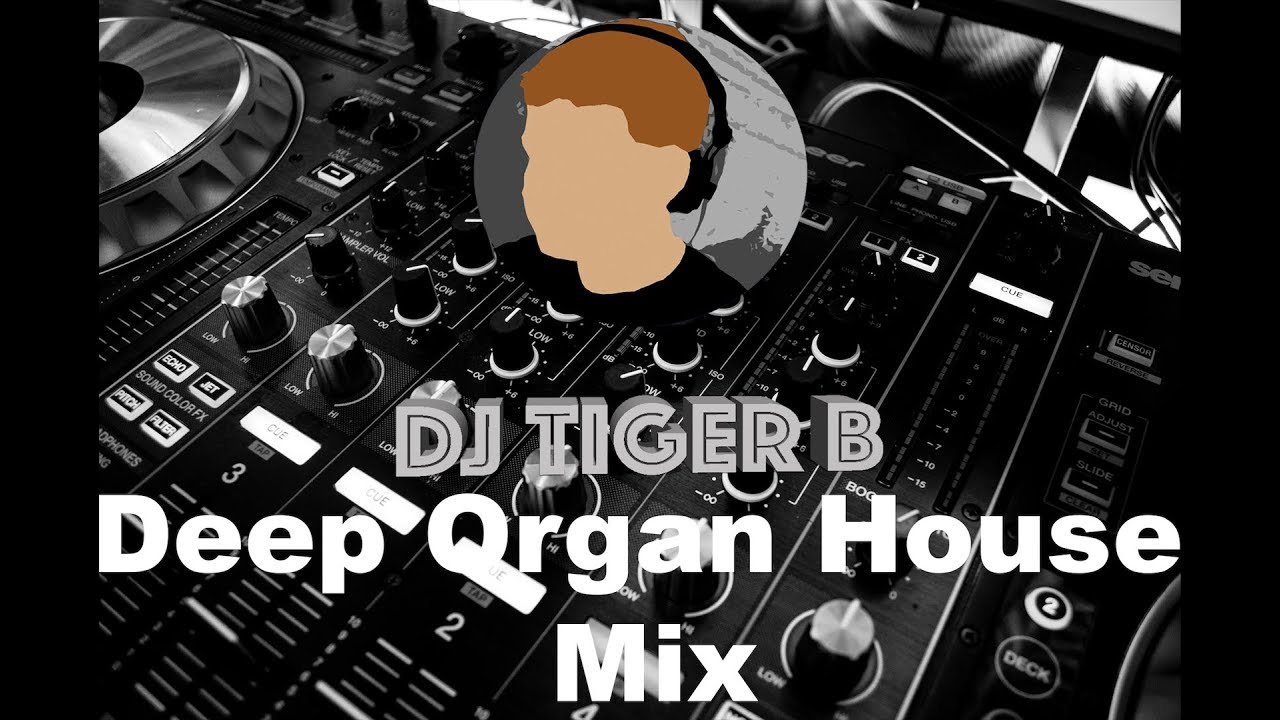 Deep Organ House Mix (Dj Tiger B) - YouTube