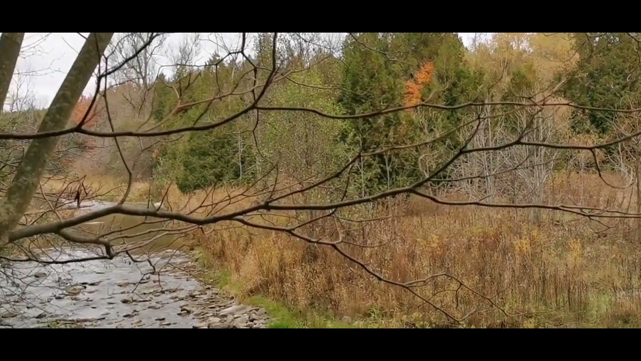 Seaton Hiking Trail (Whitevale South) - YouTube