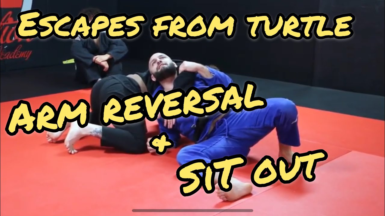 SPIN OUT & SIT OUT! Escaping the Turtle Position when opponent has a ...