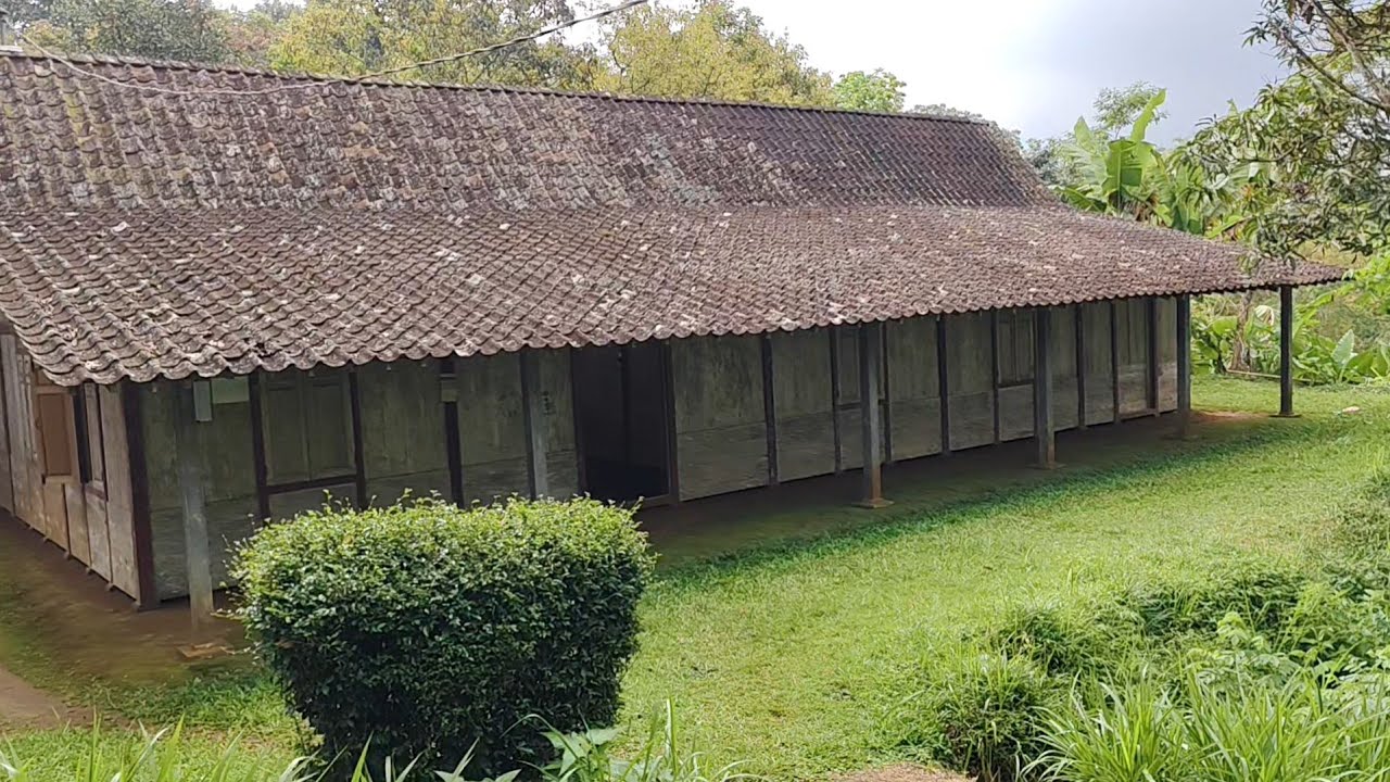 WOW.. JANDA GEMOY CANTIK SENDIRIAN DI TENGAH HUTAN - YouTube