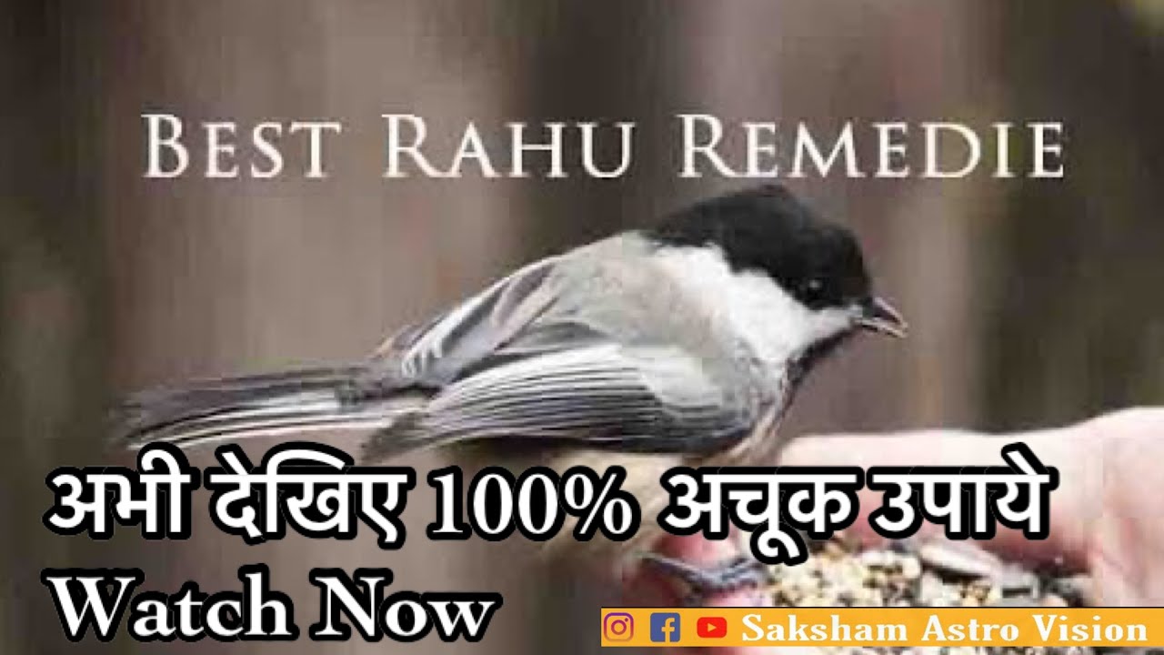 Best Rahu Remedie_राहू शान्त तुरंत ही Astro Expert Ashish Dhingra ...