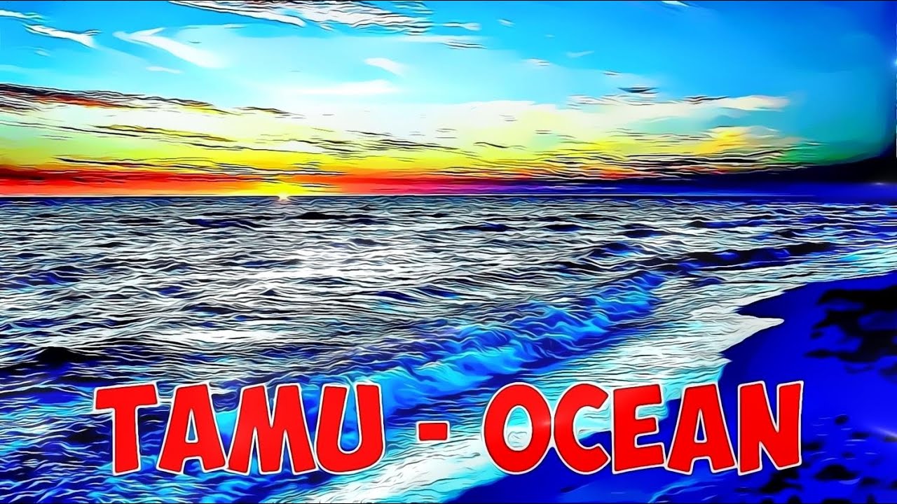 TAMU - Ocean - YouTube