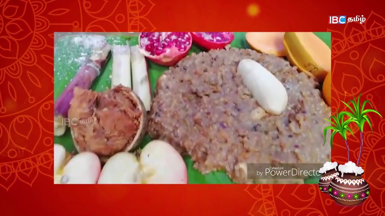 Jaffna People Pongal Celebration - IBC Tamil - YouTube