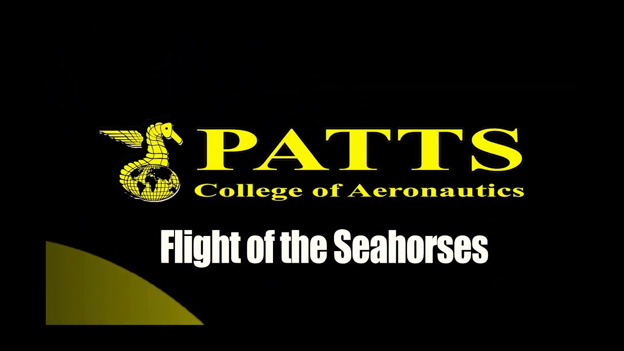 PATTS celebrates 50 Golden Years - YouTube