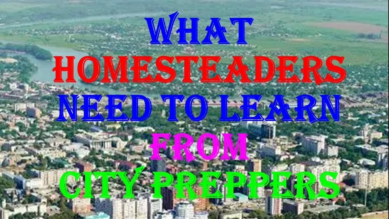 #260 What Homesteaders Need To Learn From City Preppers - YouTube