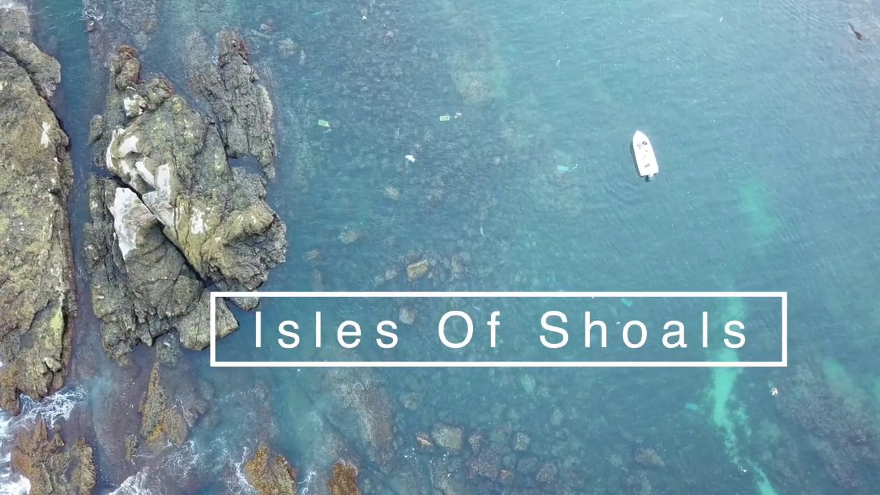 The Isles Of Shoals seals - YouTube