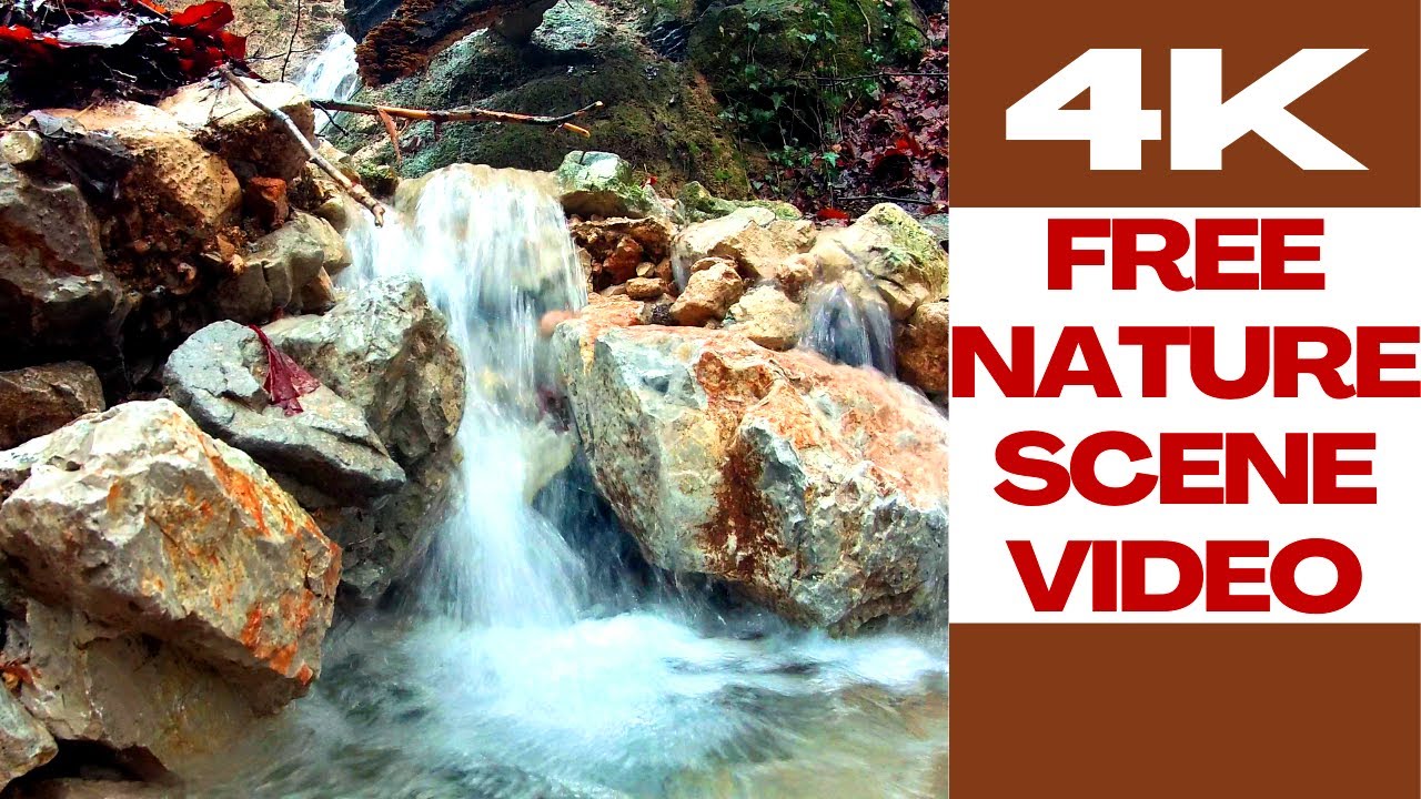 nature 4K 139 👉 Nature Scene Video - YouTube