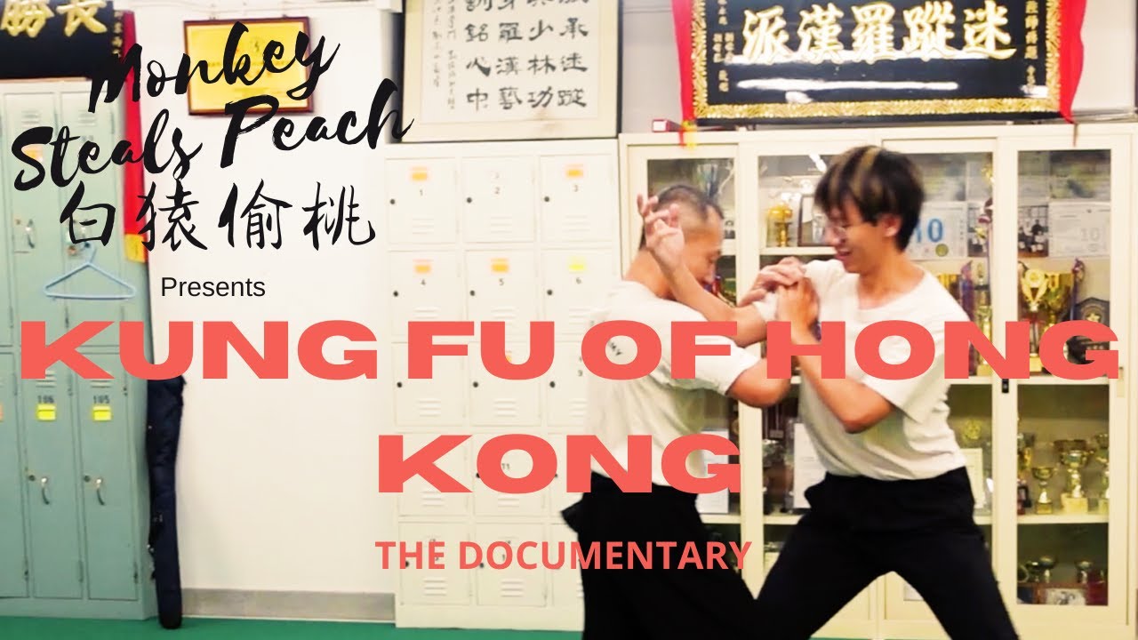 Northern Fist of Mizong Luohan - Kung Fu of Hong Kong ep3 - YouTube