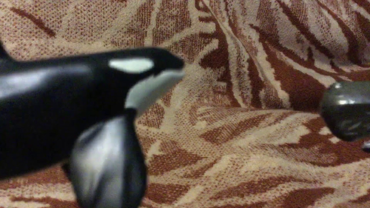 Sonidos de Ballenas (Whale Sounds) - YouTube