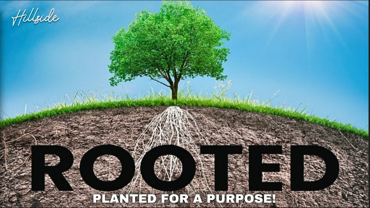 Rooted: Planted for a Purpose, with Bishop Jack Bomar, 3-2-25 - YouTube