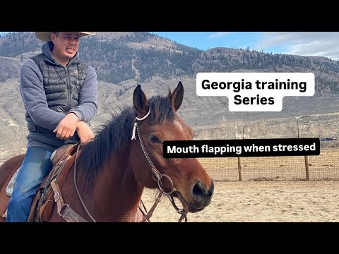 Flapping mouth | stress & emotional balance for this young horse - YouTube