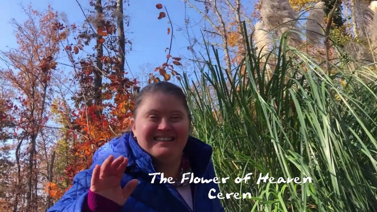 The Flower of Heaven, Ceren ( Eng subtitle / Short Documentary Film ...