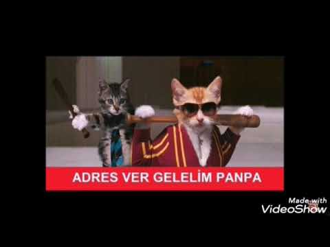 En komik cepsler (karışık)