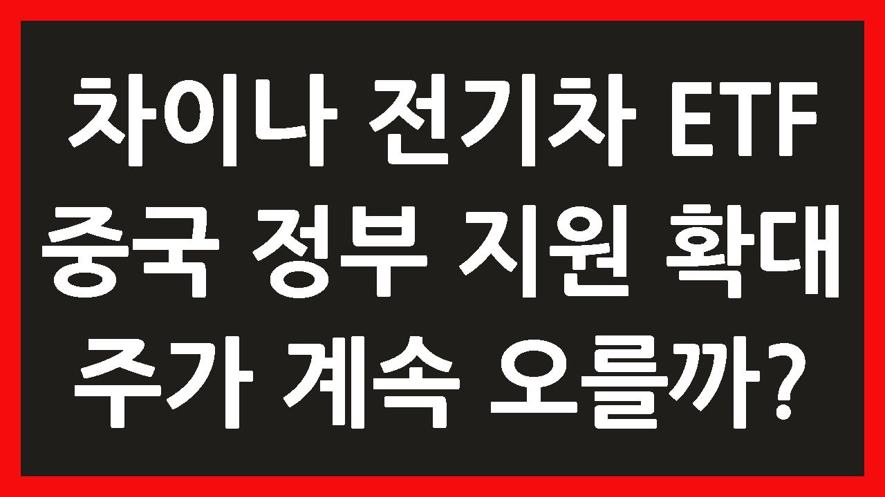 차이나 전기차 Solactive 주가 전망 타이거 Tiger Etf 레버리지 중국 2차전지 배터리 주식 장기 투자 장투 단타