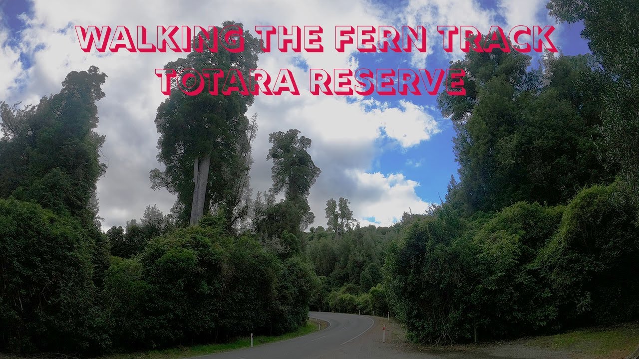 Walking the Fern Track | Totara Reserve | Pohangina Valley - YouTube