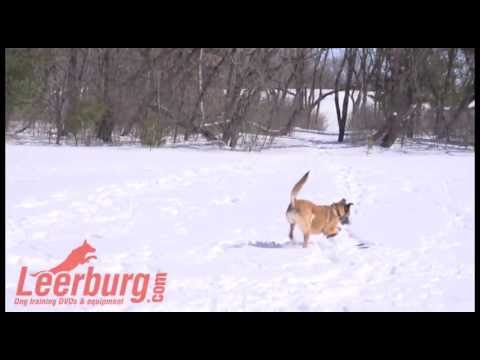 Product Demonstration on the Chewber - YouTube