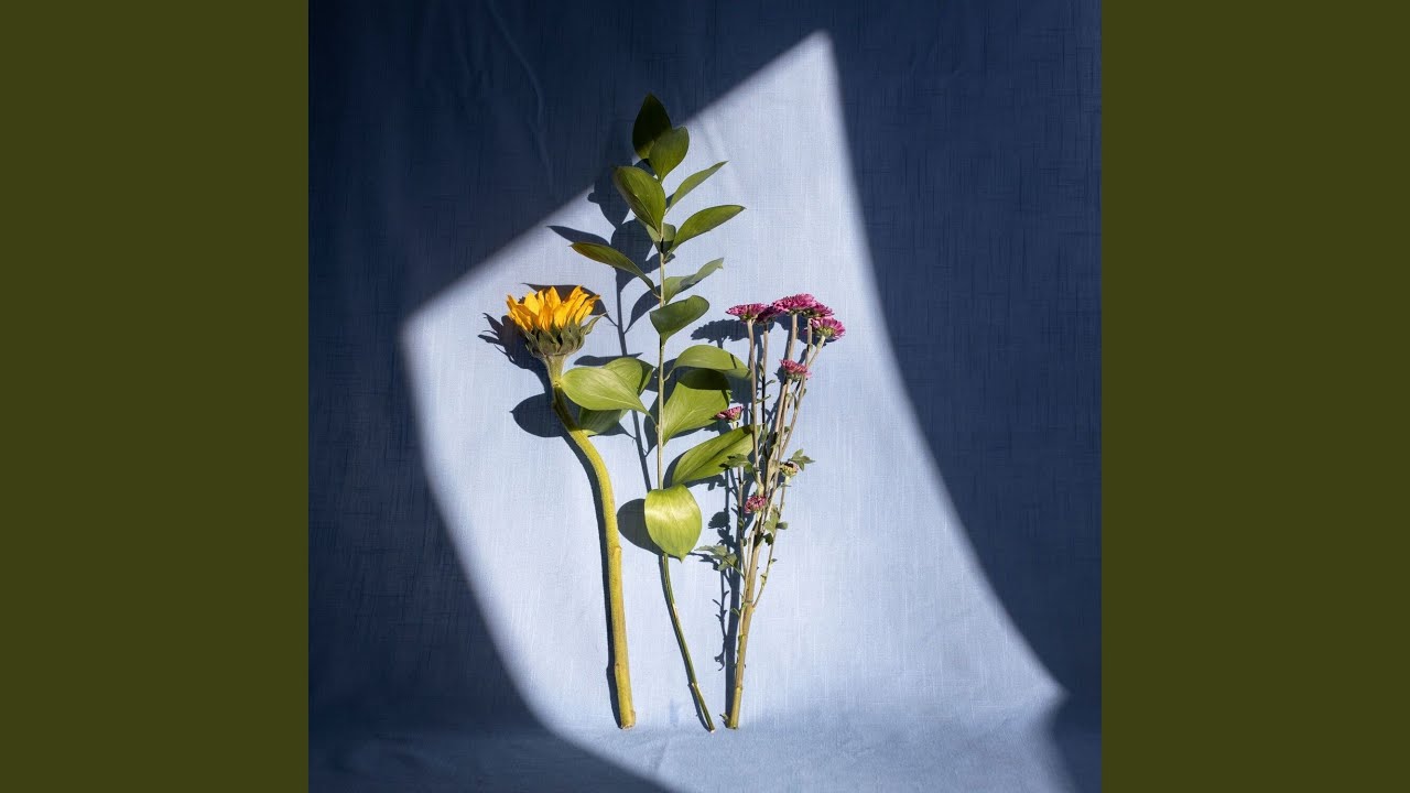 Cameron Waller - YouTube